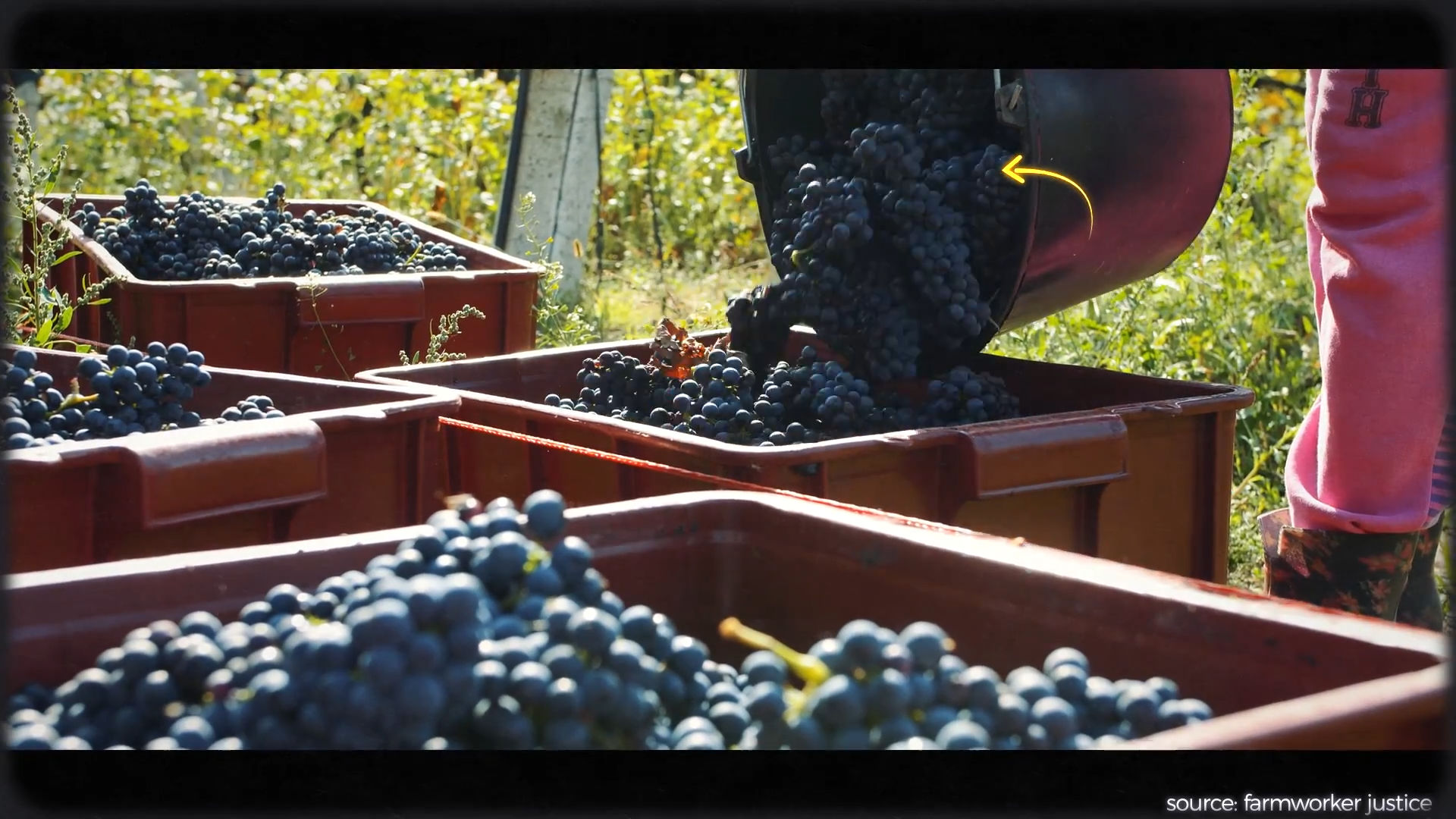 Why our food system is quietly killing us