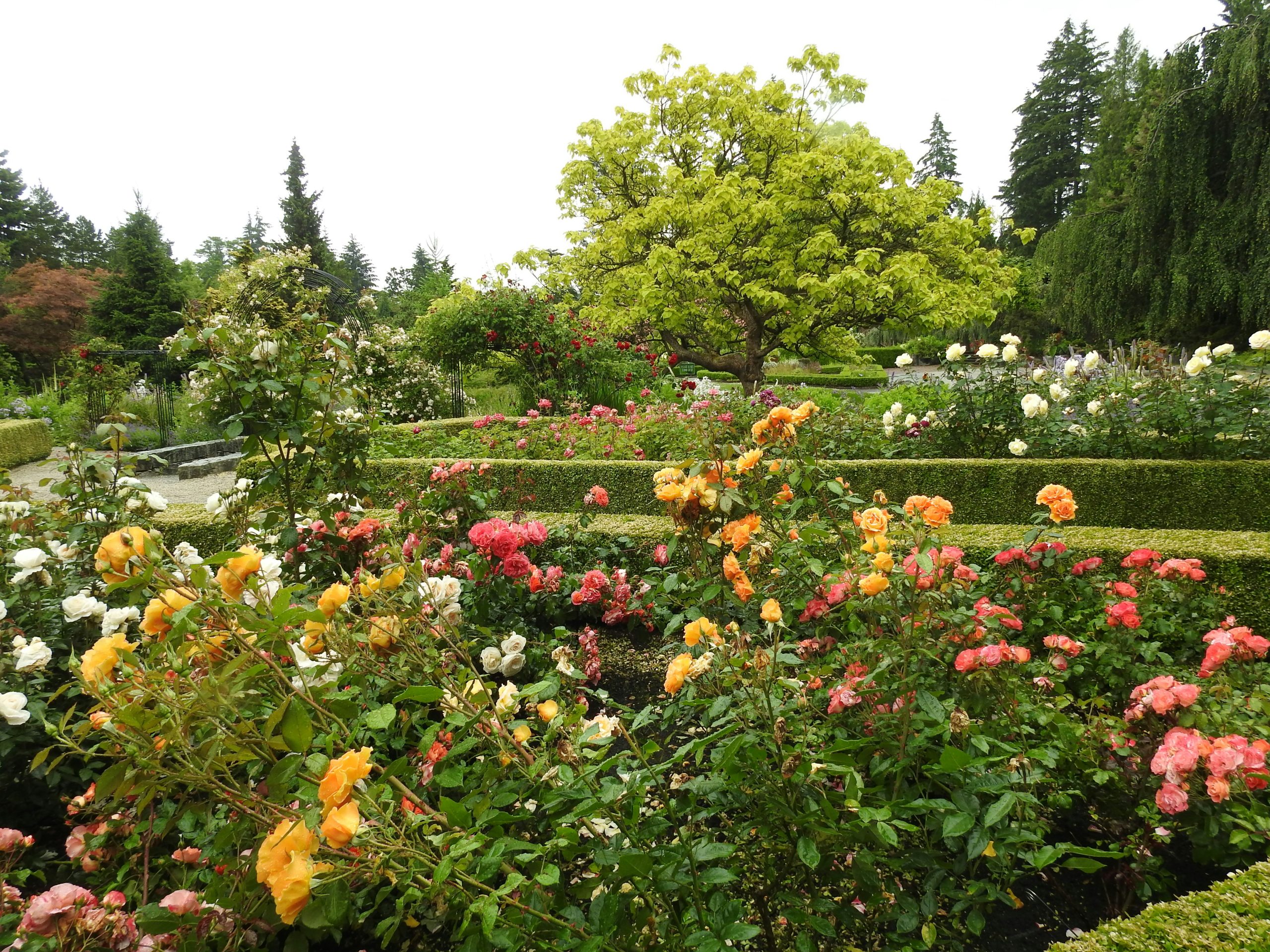 University botanical gardens that are free to enter