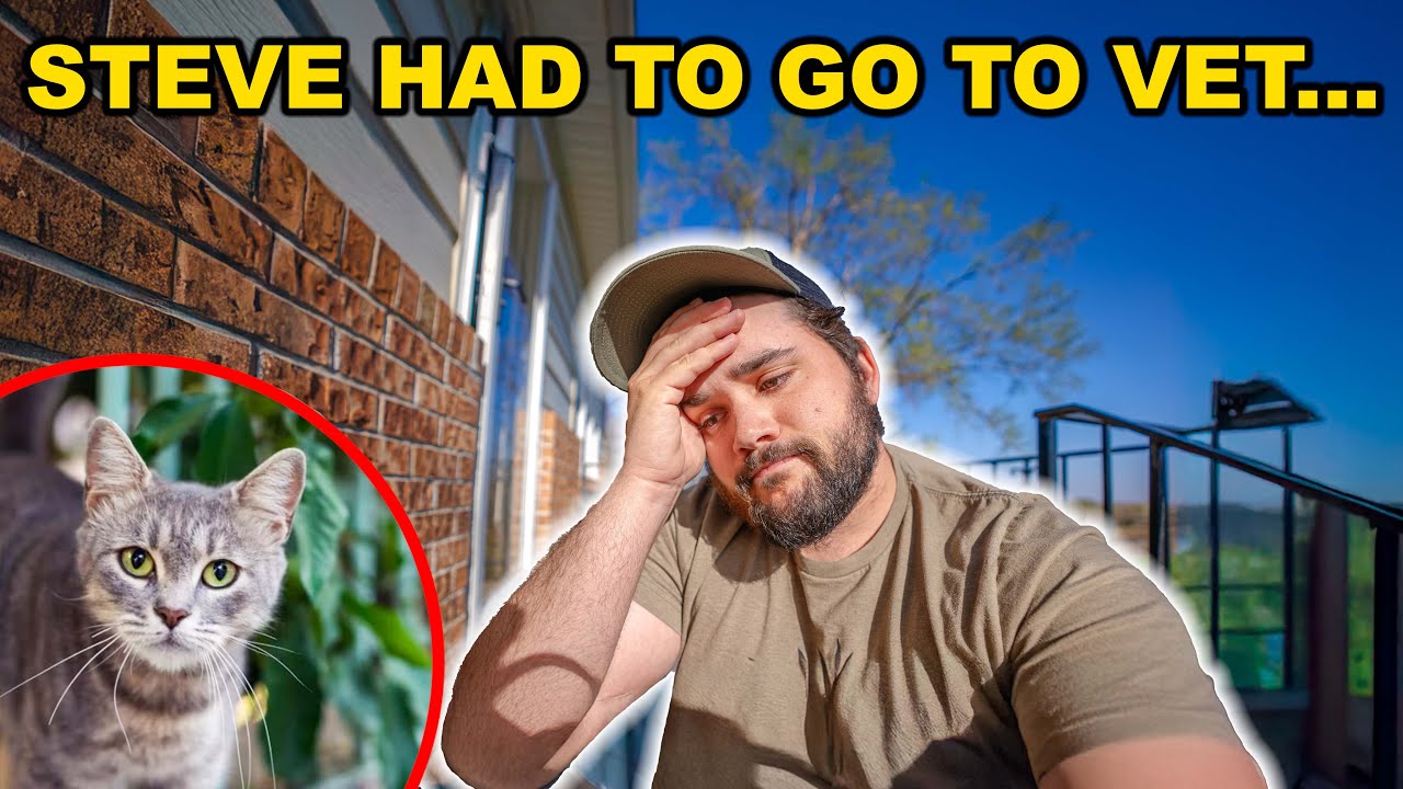 Saying goodbye to Steve at the vet (RIP)