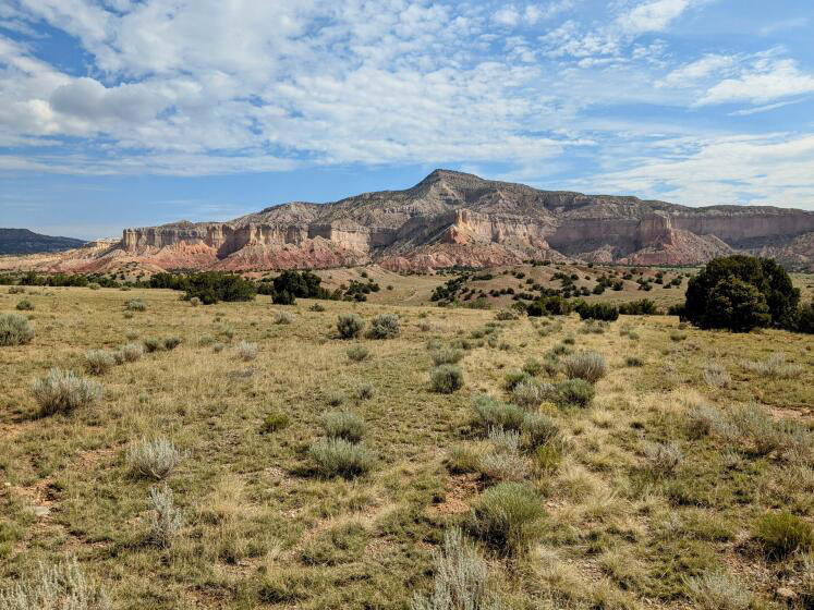 Georgia O'Keeffe's views of the New Mexico desert will be preserved ...