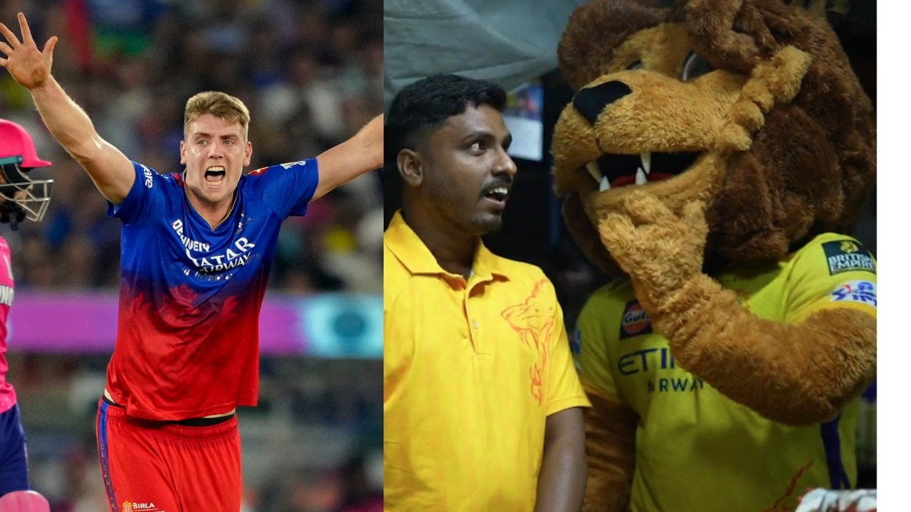 Cameron Green to CSK? Chennai Super Kings mascot drops big hint before ...