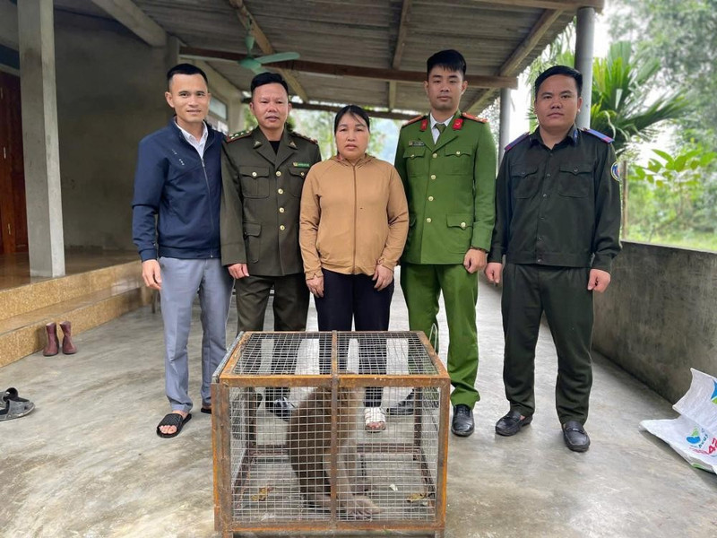 Người dân bàn giao cá thể khỉ vàng quý hiếm thả về rừng