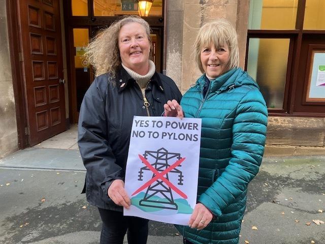 Campaigners call on council to join opposition to 60km pylon roll-out ...