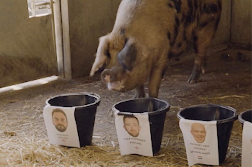 Psychic pig predicts Luke Littler's fortunes as World Darts ...