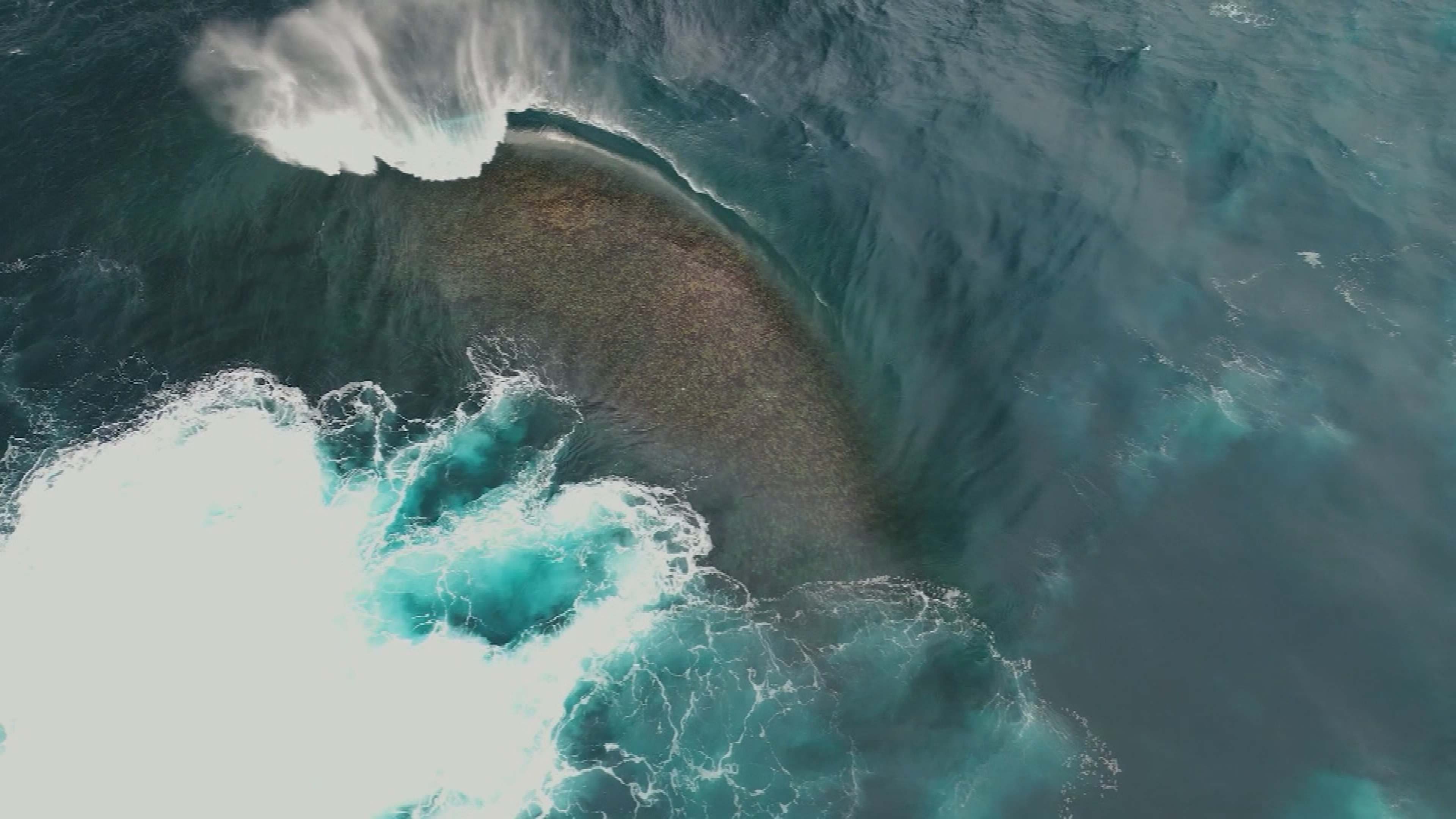 'Freak of nature': Unique ocean spectacle filmed off WA coast goes ...