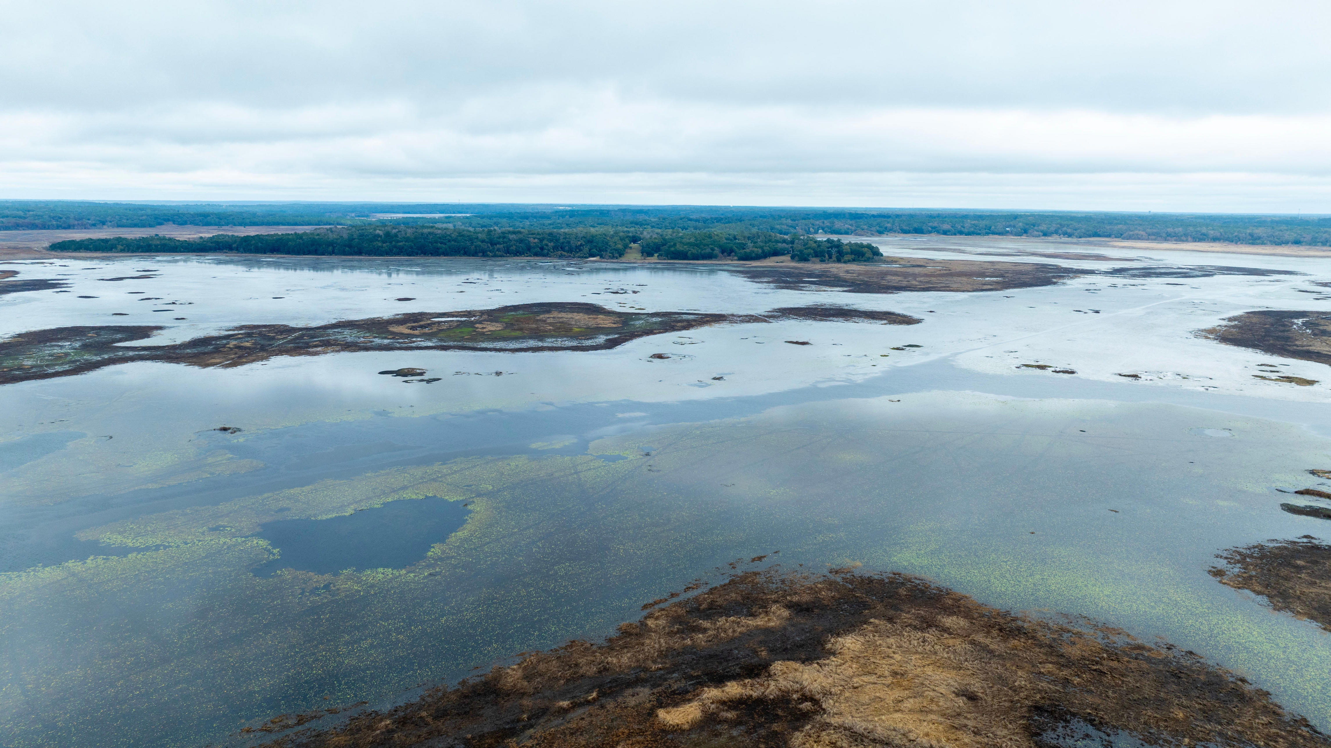 Incoming cold front set to bring freezing temps to Tallahassee