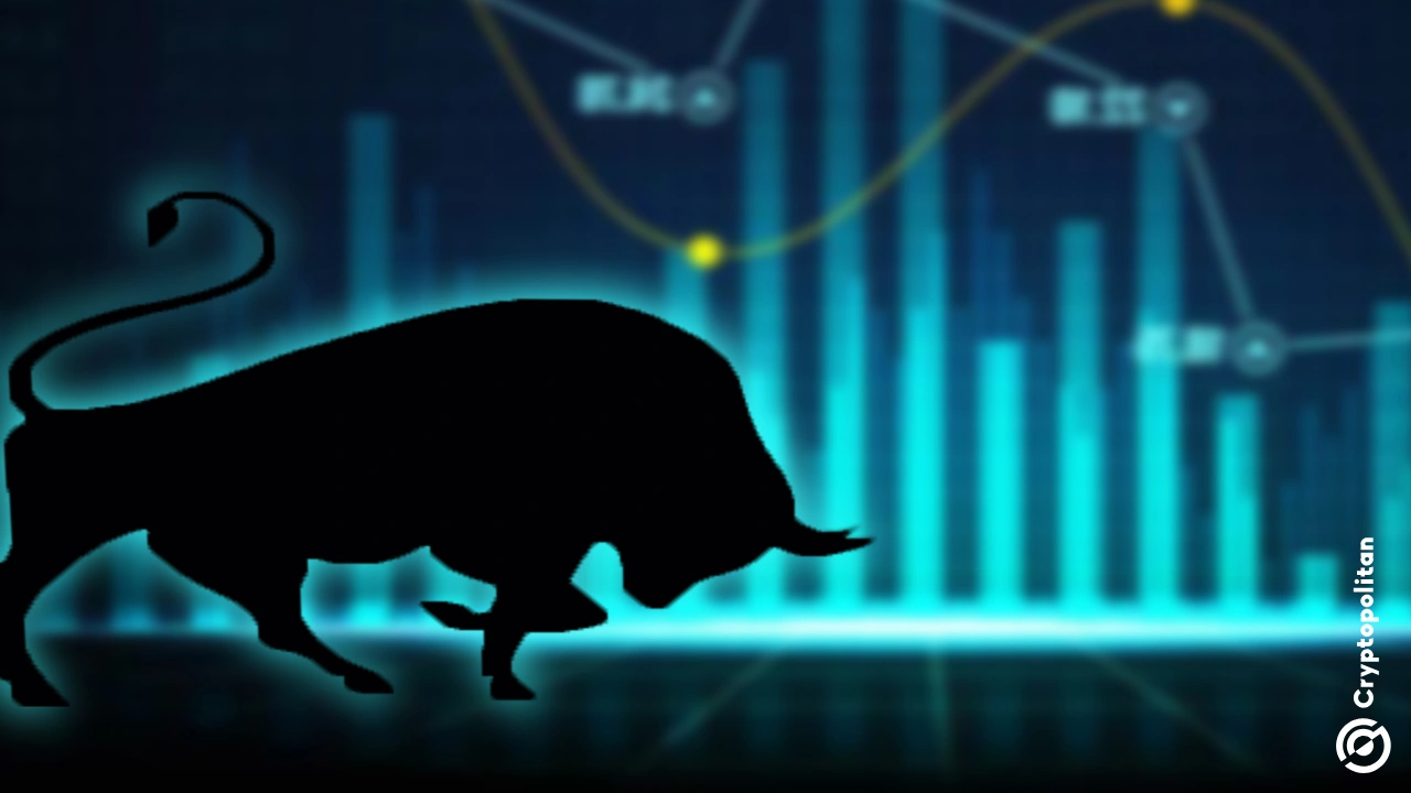 Analysts remain bullish on strategy despite 60% YTD stock dip