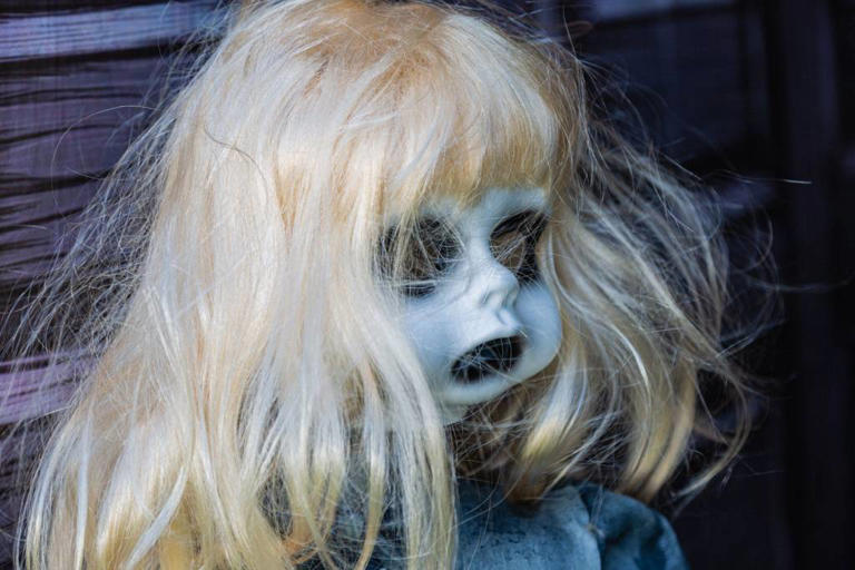 FBI-raided shopkeeper used real body parts in eerie doll business