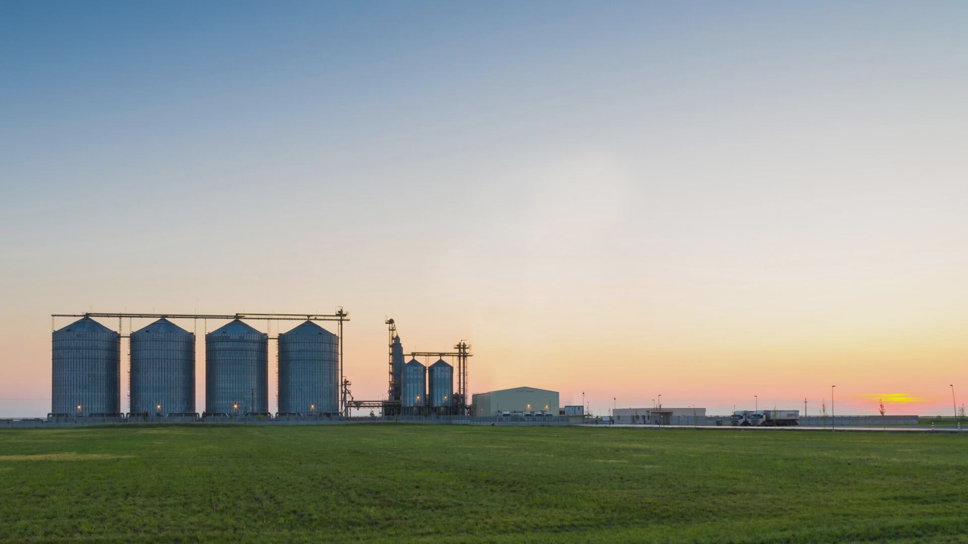Area 4th, 5th graders named as state finalists in Wisconsin agriculture ...