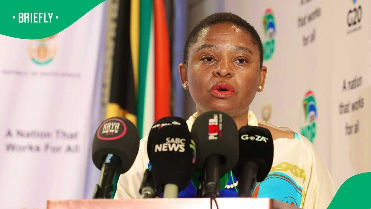 Ntshavheni says Witness D rejected protection offer after fatal attack