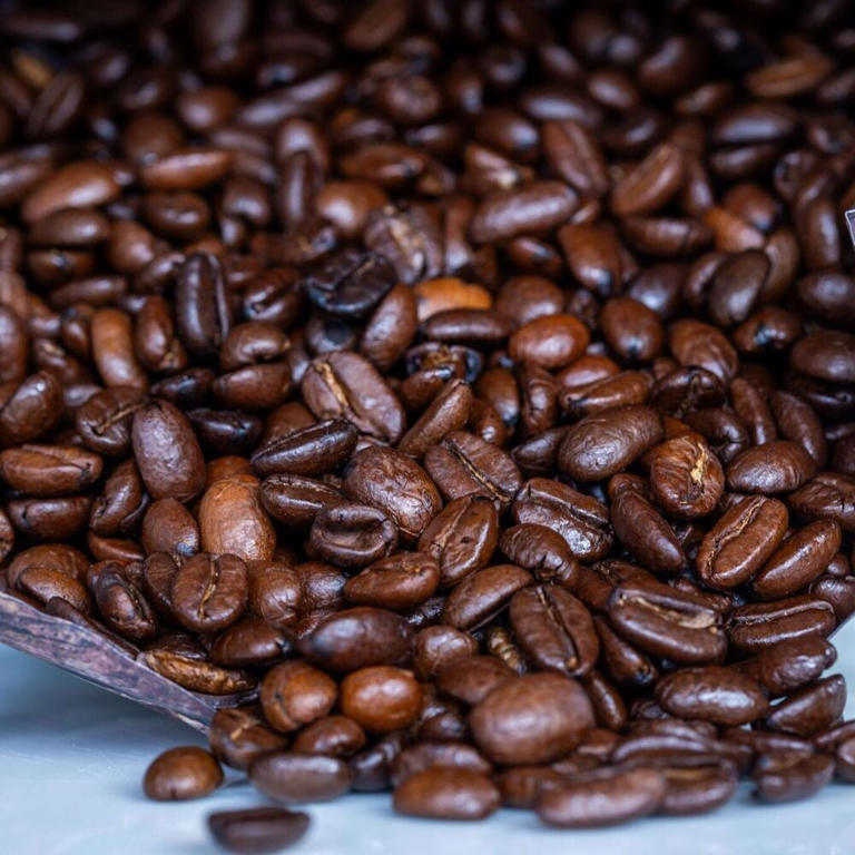 „Es geht schnell, wenn Armen etwas genommen werden soll“: Tagesspiegel ...