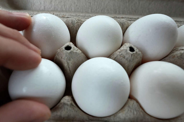 Texas egg prices, poultry industry threatened by deadly bird flu virus