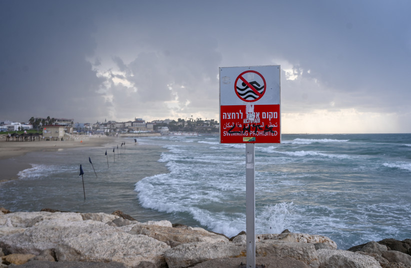 Up to 100 km/h winds: Emergency responder gives safety tips for this ...