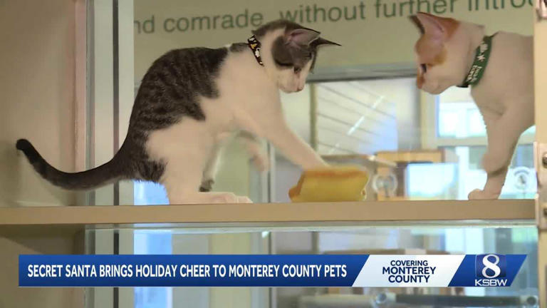 Secret Santa program brings holiday cheer to SPCA Monterey County pets