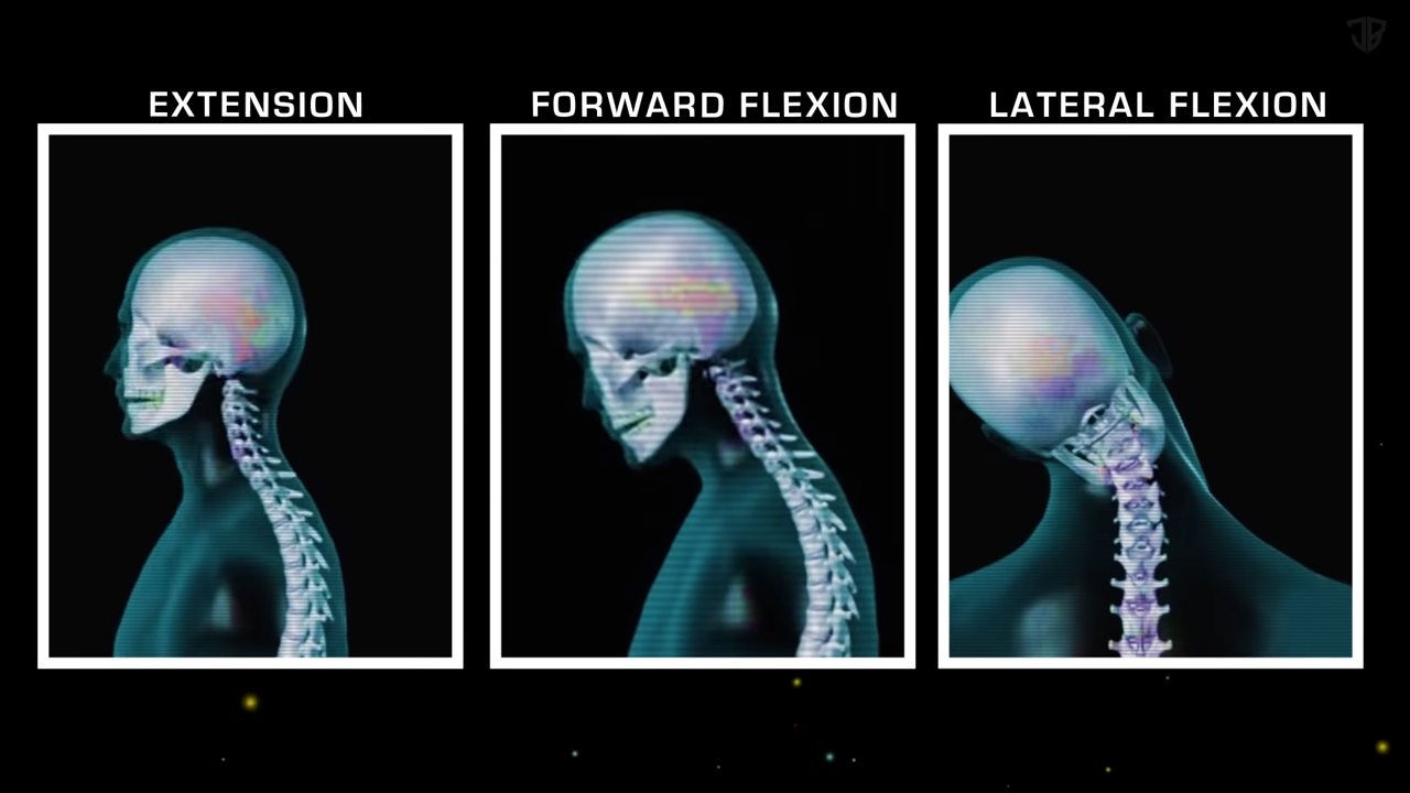 How 100 days of neck training changed my physique