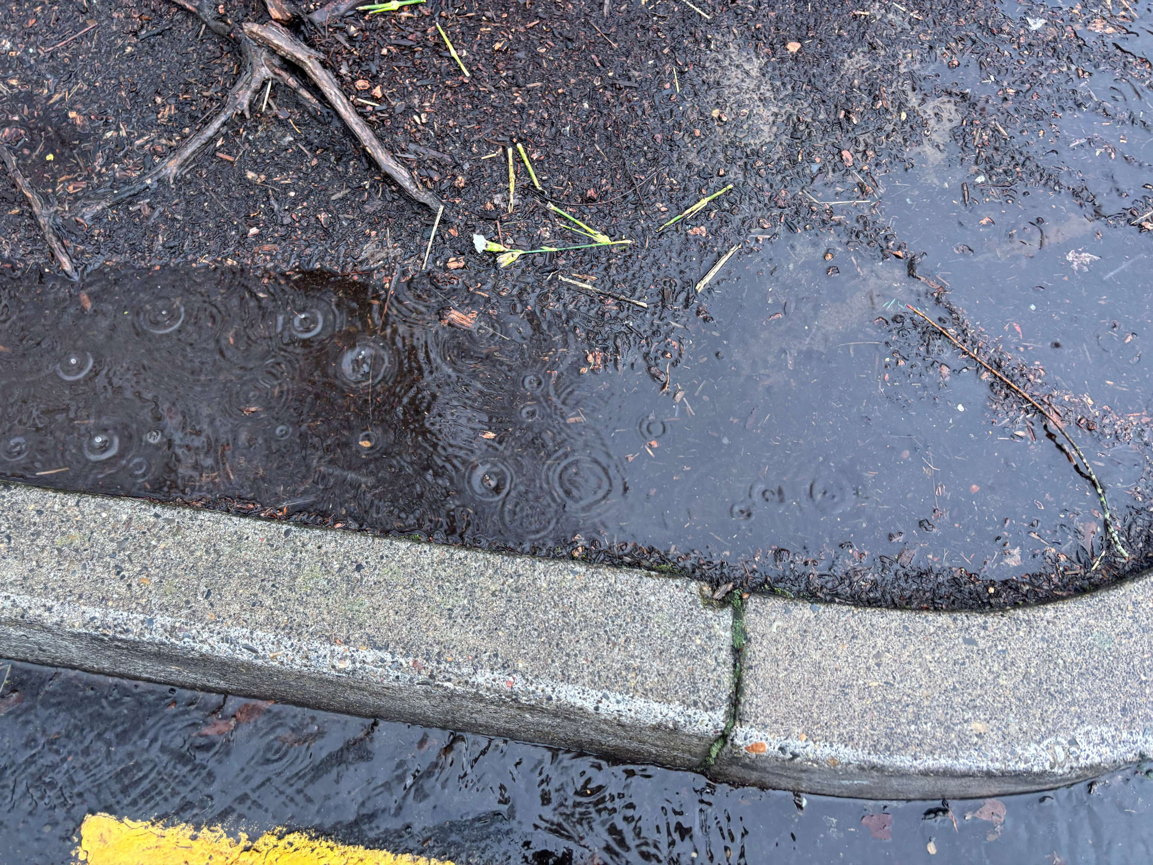 How much rain did your Oregon county get during the atmospheric river ...