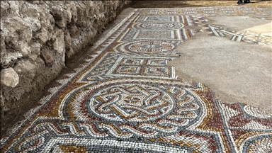 4th-century reception hall with rare mosaics unearthed in ancient city ...