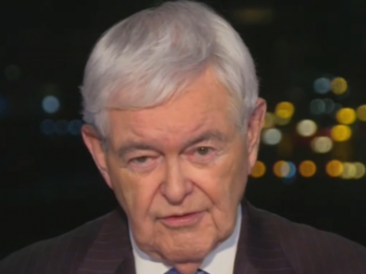 Gingrich: European elites decided to side with the Third World to ...