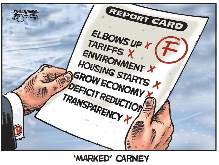 Edmonton Journal editorial cartoons for December 2025