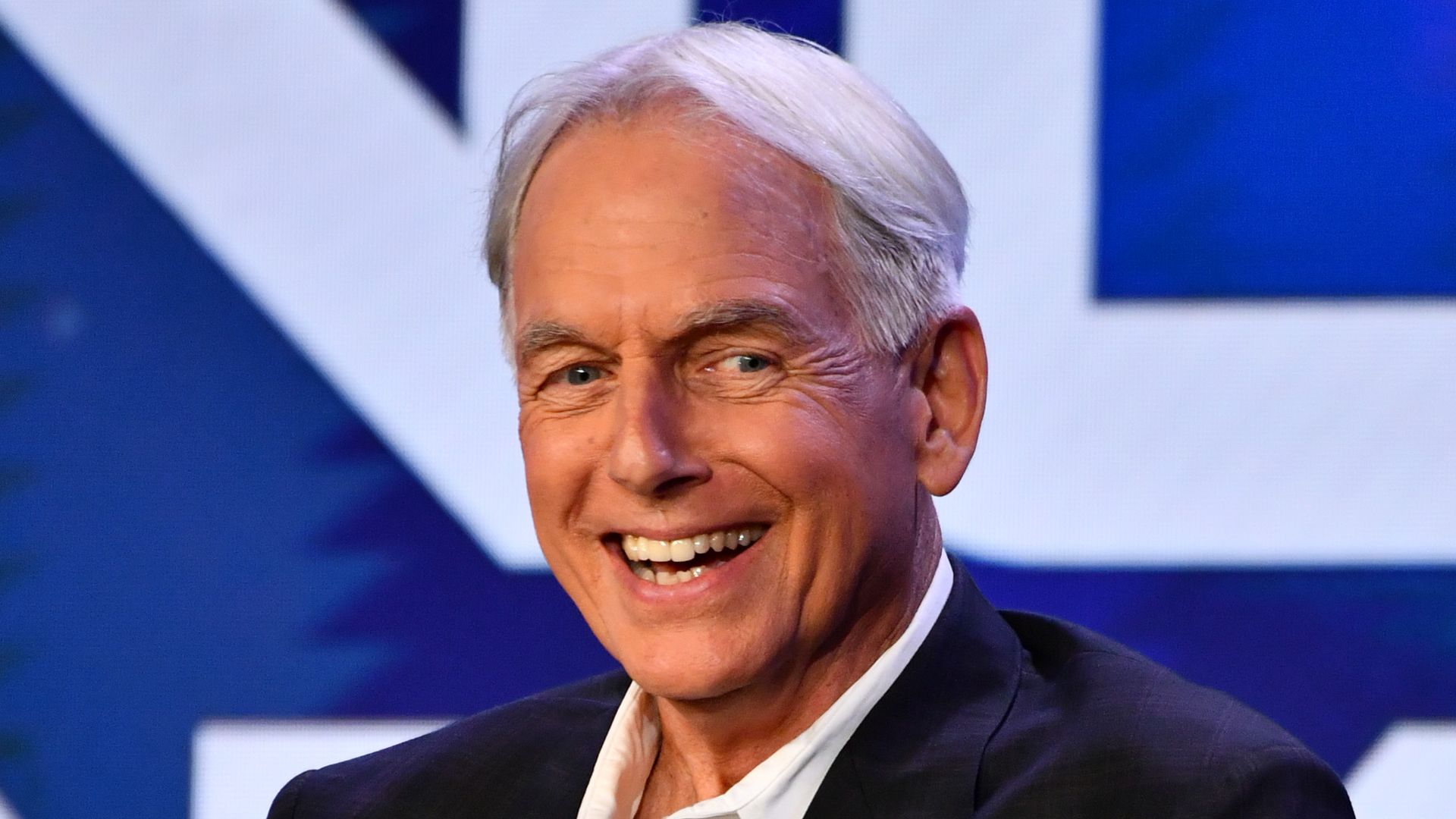 Exclusive: How Mark Harmon's wife Pam Dawber helped fellow NCIS star ...