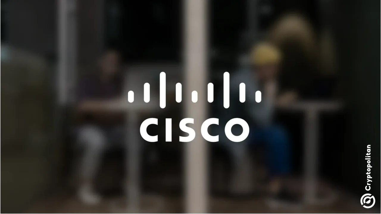 Why has Cisco stock crashed by over 10%?