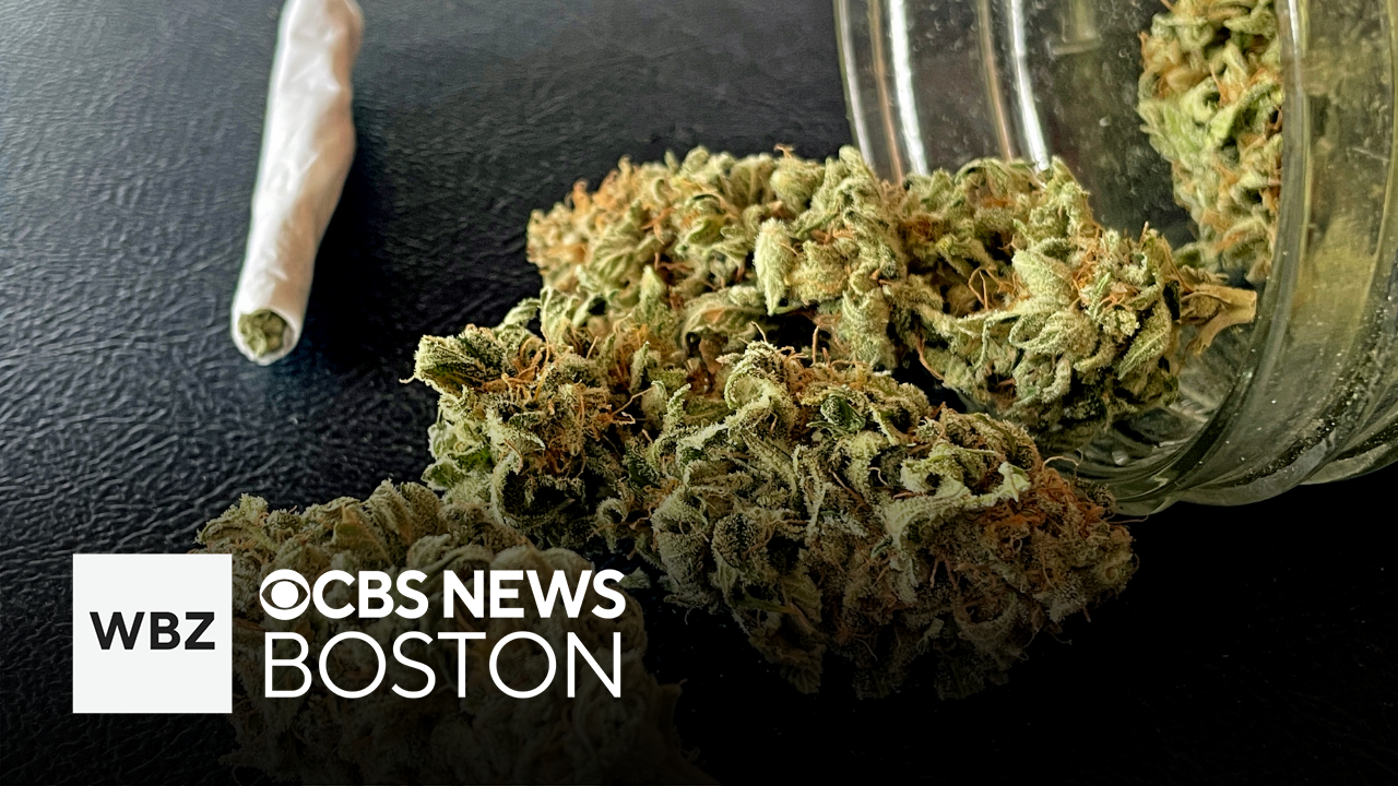 Law enforcement group alleges fraud, THC inflation in Mass. cannabis ...