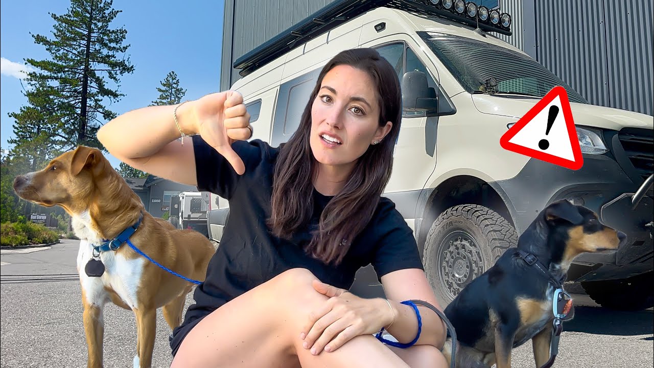 48 hours of chaos: Vet emergencies, lost dogs & van life!