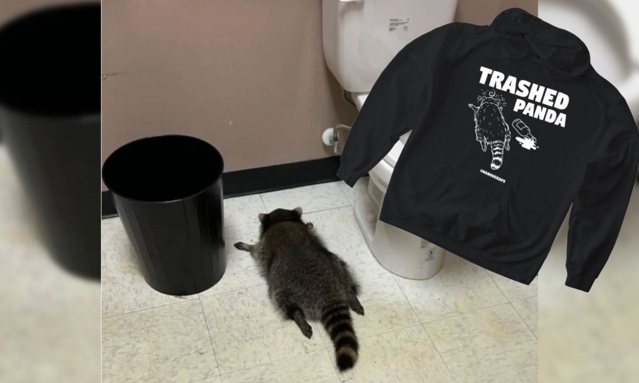 Refugio de animales recauda 3.4 millones de pesos en solo tres días ...