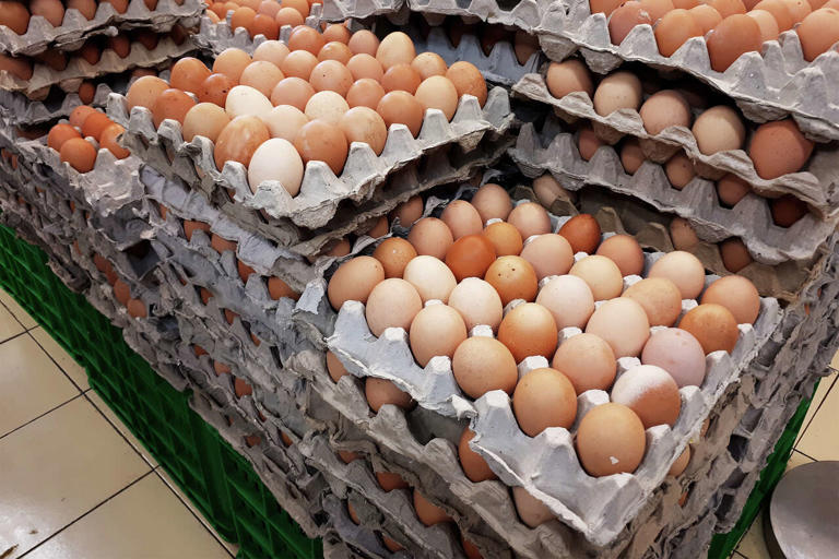 Salmonella risk triggers recall of Calif. farm's eggs sold at ...