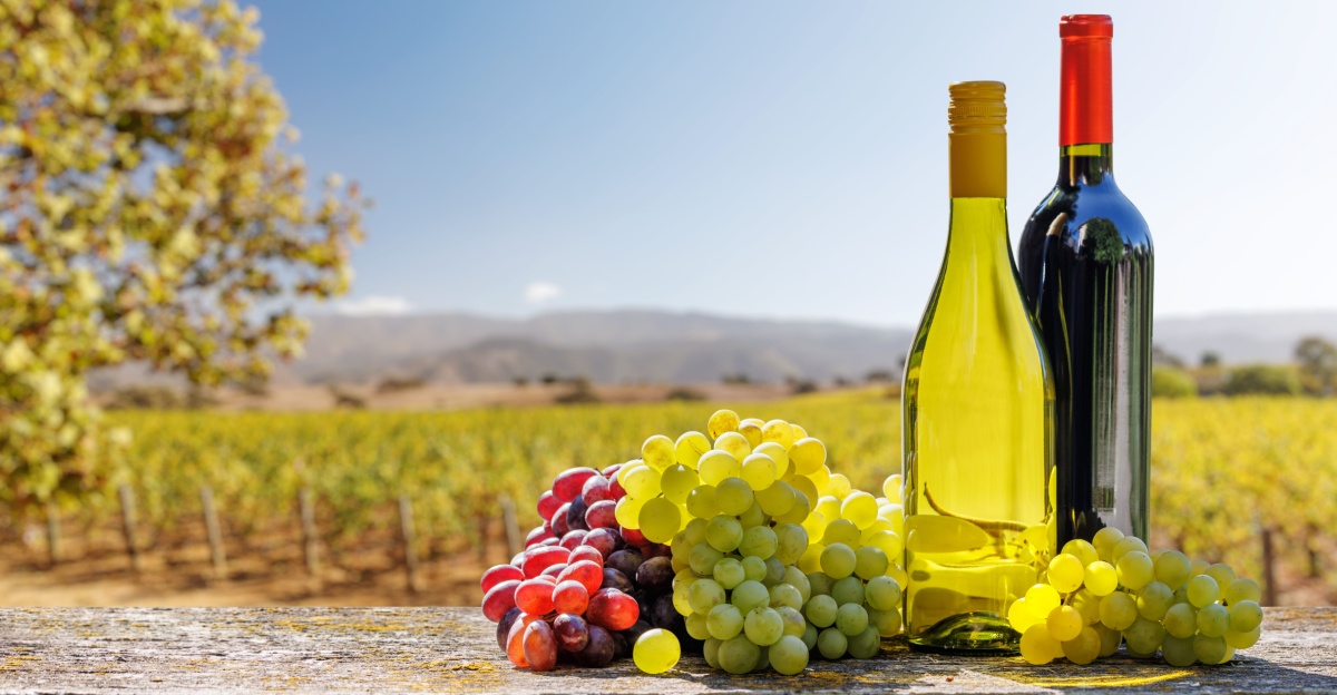 11 small wine country towns in the US that bring a calm mood to any trip