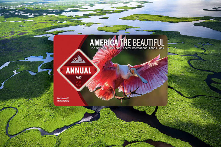 A sticker covering Trump's face could now void your national park pass