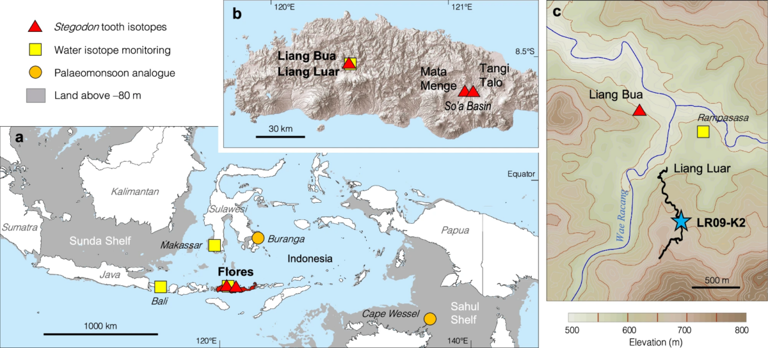 Scientists reveal the real reason Homo floresiensis disappeared — and ...