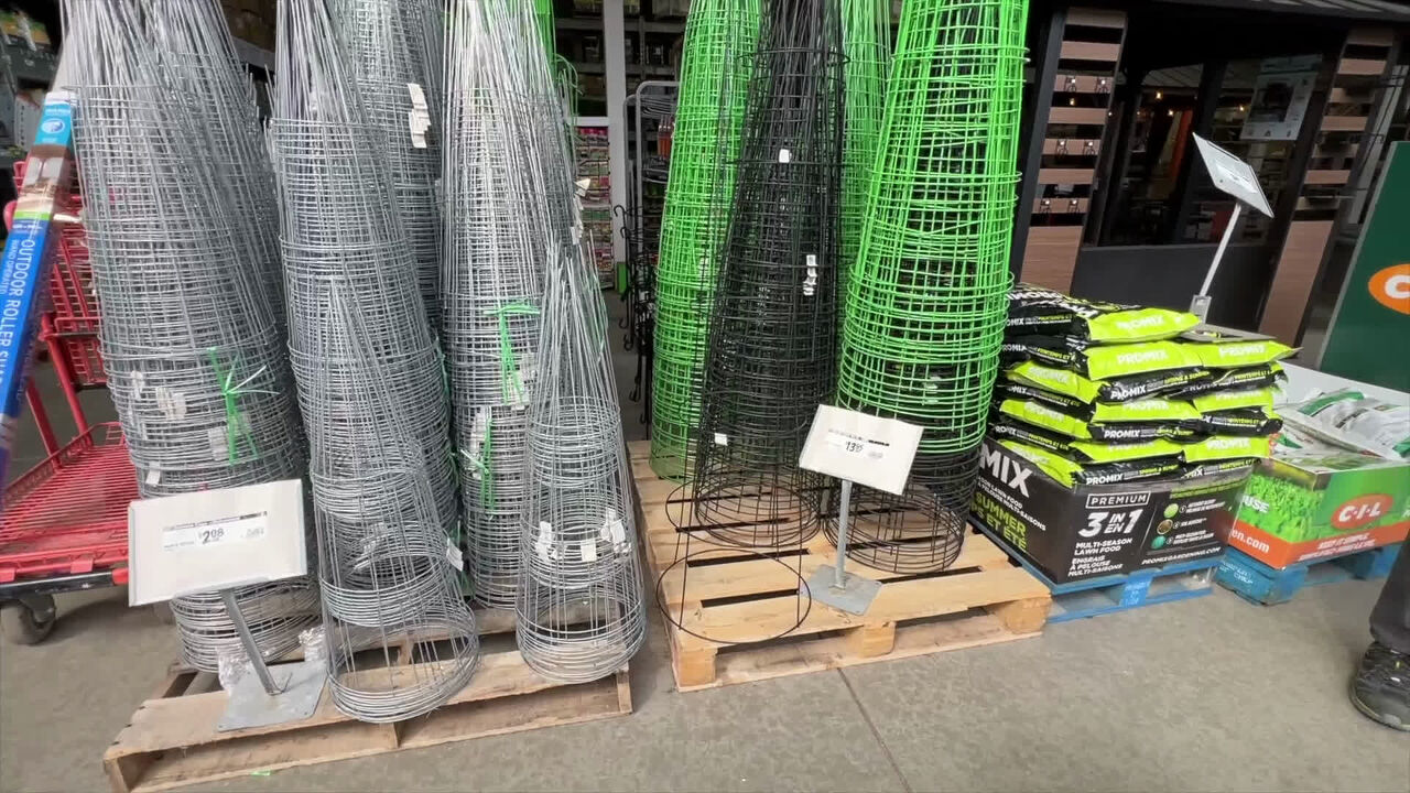 Dollar Tree hanging basket tomato cage planter