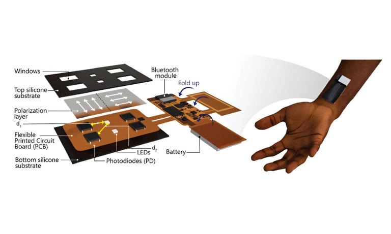 Polarized light boosts accuracy of wearable health sensors for all skin ...