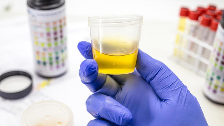Urine experiment finds cobalt breakthrough: we can reuse most