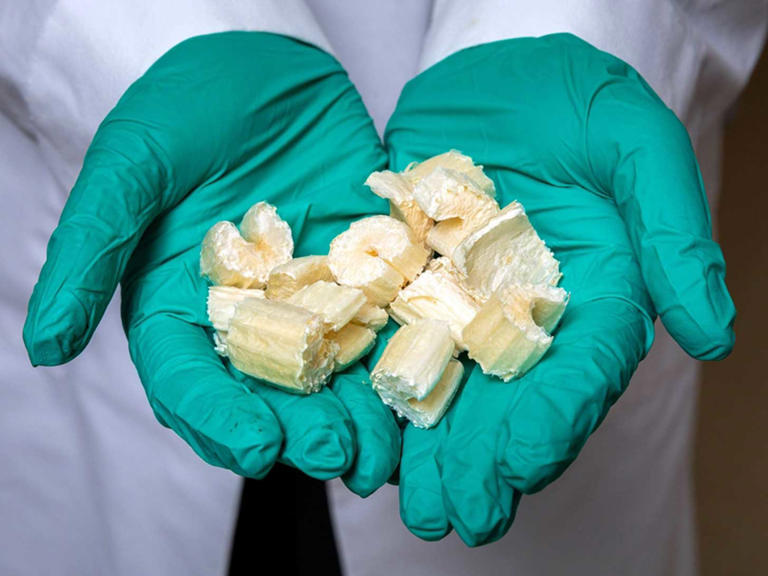 Scientists 3D print foods to get kids to eat their vegetables: 'Turning ...