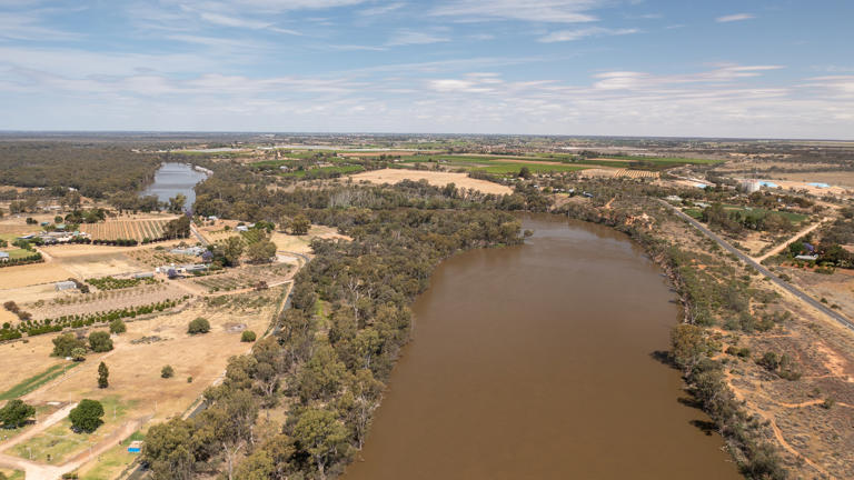 Murray-Darling inflow laws secure water for delicate ecosystems ...