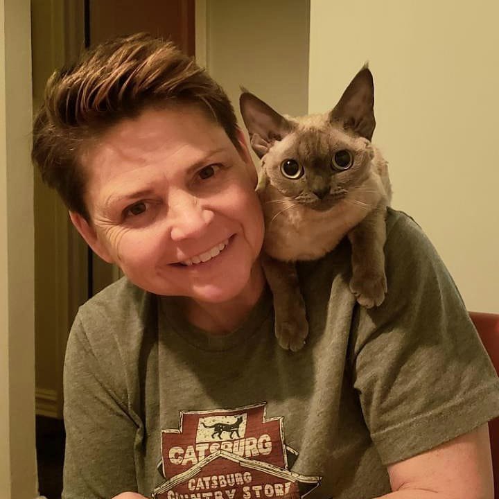 Marvelous Mrs Maisel actress Wenne Davis dies at 60