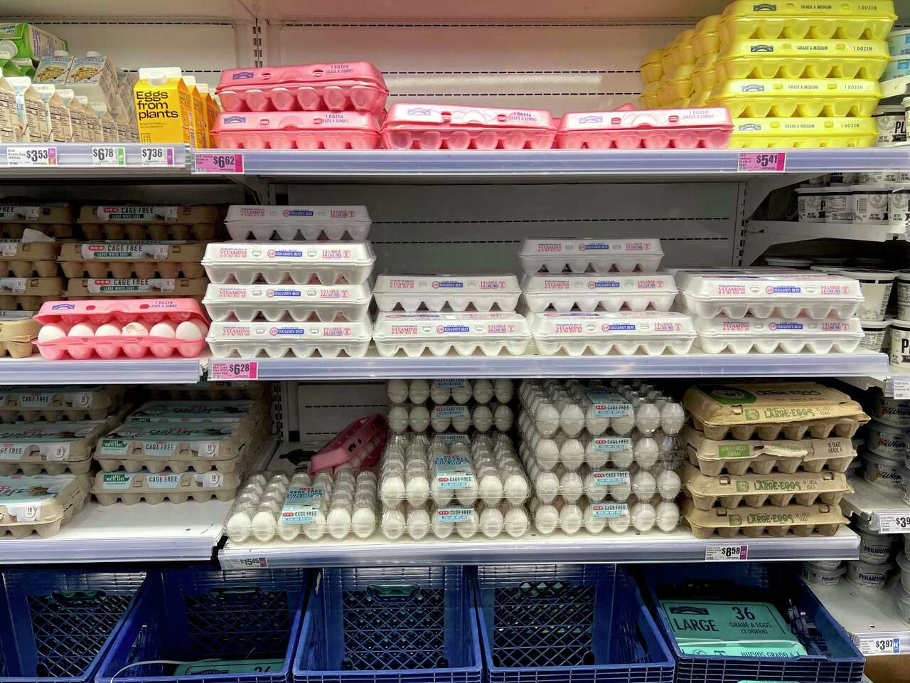 Texas egg prices, poultry industry threatened by deadly bird flu virus