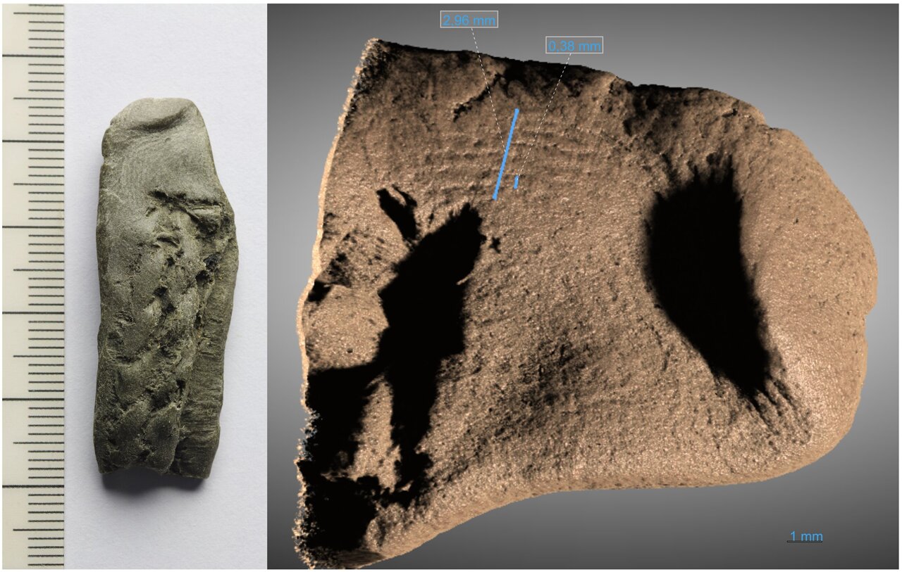 The Hjortspring boat: Partial fingerprint in ancient tar offers rare ...