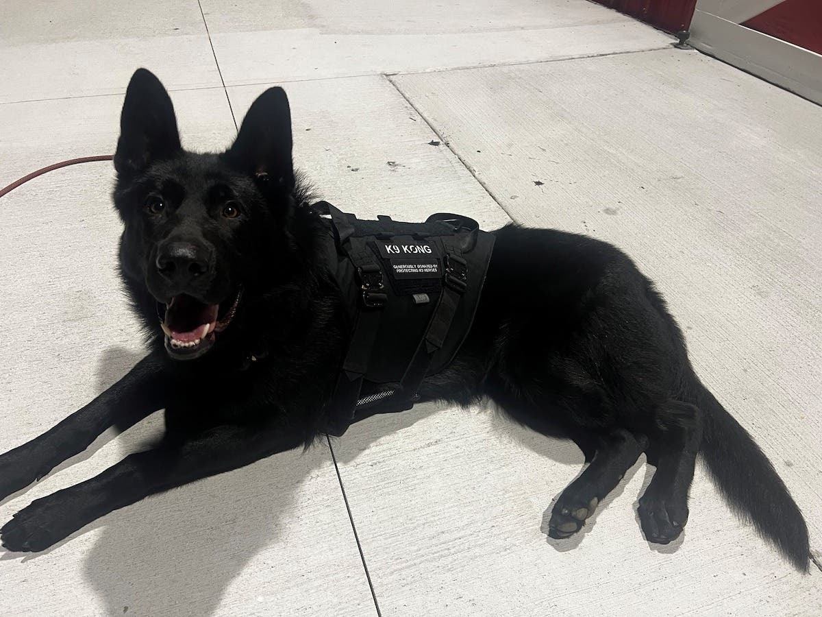 Mokena's K9 cop Kong receives donated ballistic vest