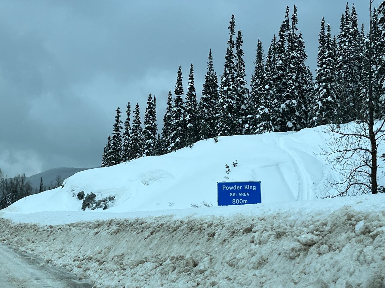 Avalanche risk closes major BC highway routes in Pine Pass, Kootenay ...