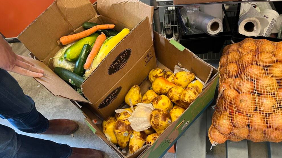 Understaffed DTA faces steep SNAP penalty risks