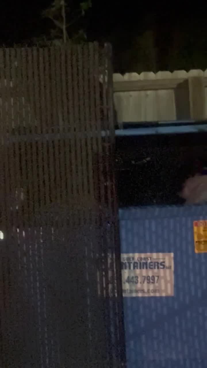 Black bear spotted near Publix on Old Shell Road