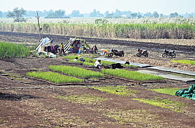 Cabinet meets in Belagavi today, crucial decision likely on quota, IPL ...