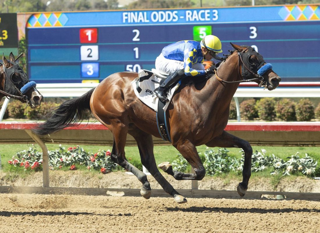 Equibase analysis: Provenance brings major potential to Los Alamitos ...