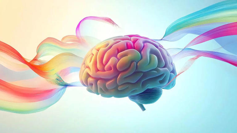 Brain-boosting tip of the day: Forget pills, neurologists reveal one ...