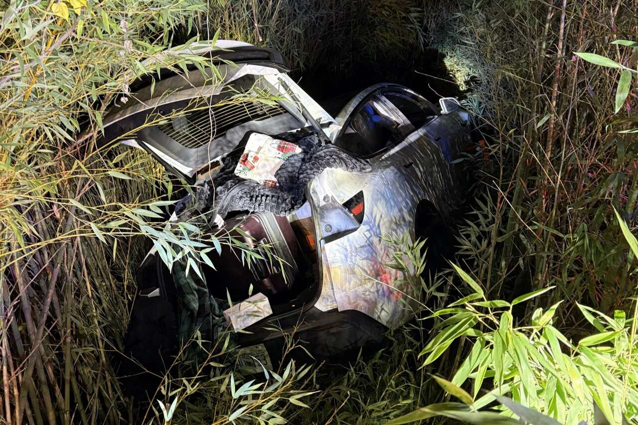 Mental health startup founder allegedly tried to set fire at Bay Area ...