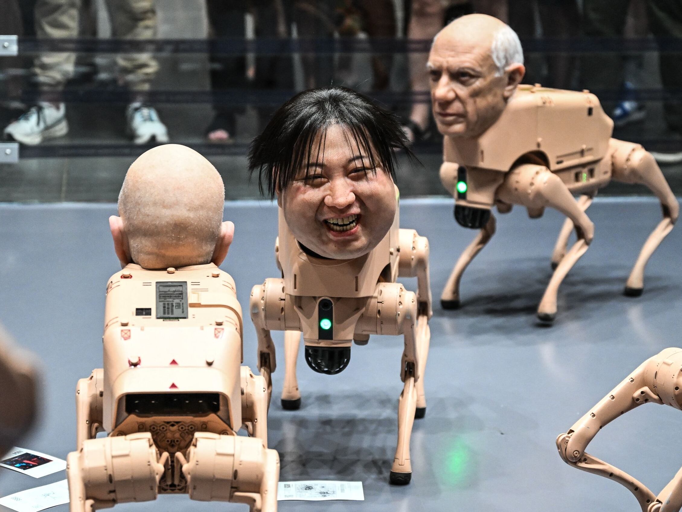 Robot dogs featuring Kim Jong-un, Musk sell for $100,000 at Art Basel