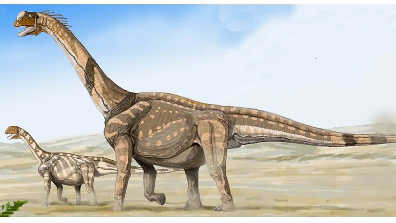 Where to find dinosaur fossils in the US